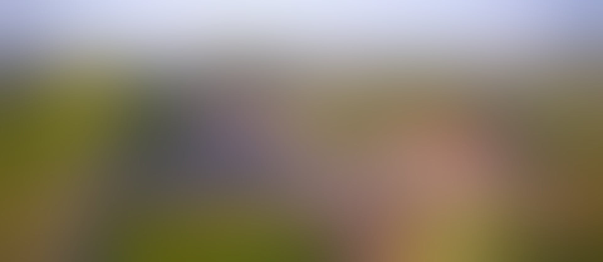 Medieval Villages & Cultural Cities